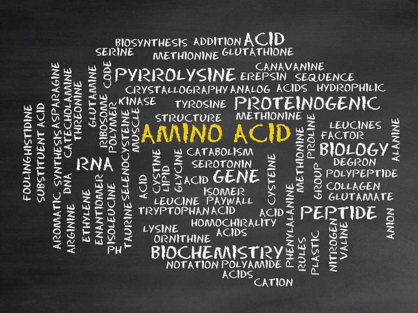 A pocket guide to the nine essential amino acids - Infinite Labs