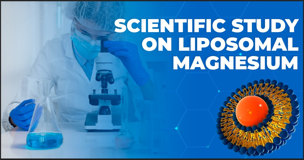 Scientific study on liposomal magnesium - Infinite Labs