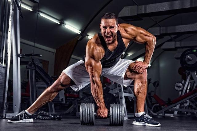 How to increase muscle mass - Infinite Labs