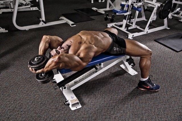 Stretching the muscle increases muscle mass - Infinite Labs