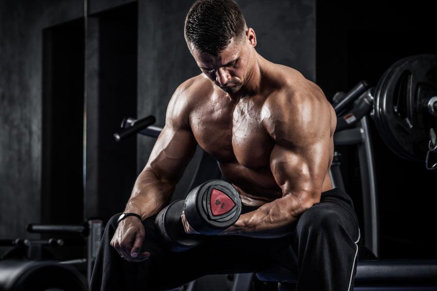 Muscle growth not growing how to break a workout plateau - Infinite Labs