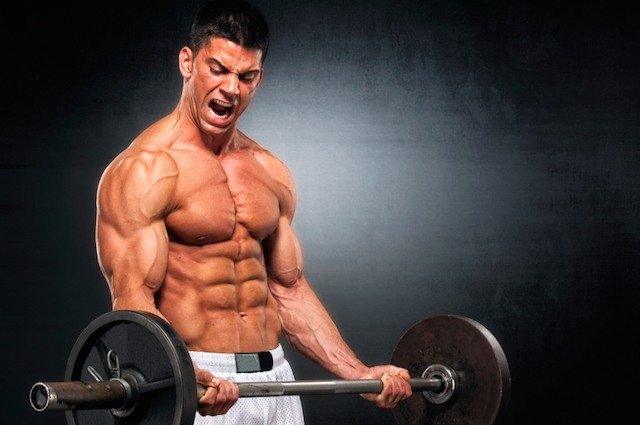 Eating for muscle growth - Infinite Labs