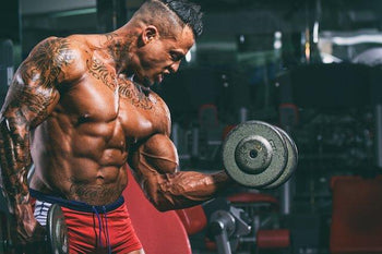 Armageddon best exercises to increase your arm size - Infinite Labs