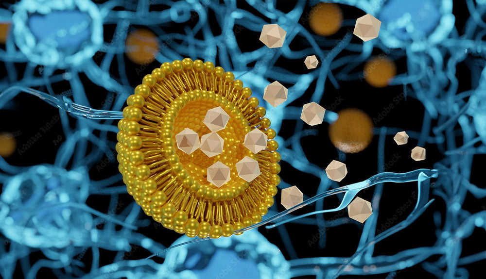 Liposomal encapsulation the future of drug delivery - Infinite Labs